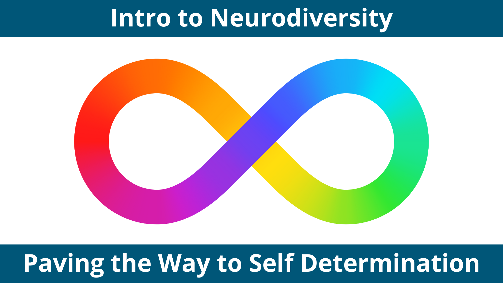 PtW: Understanding Neurodiversity - Disability Network Southwest Michigan
